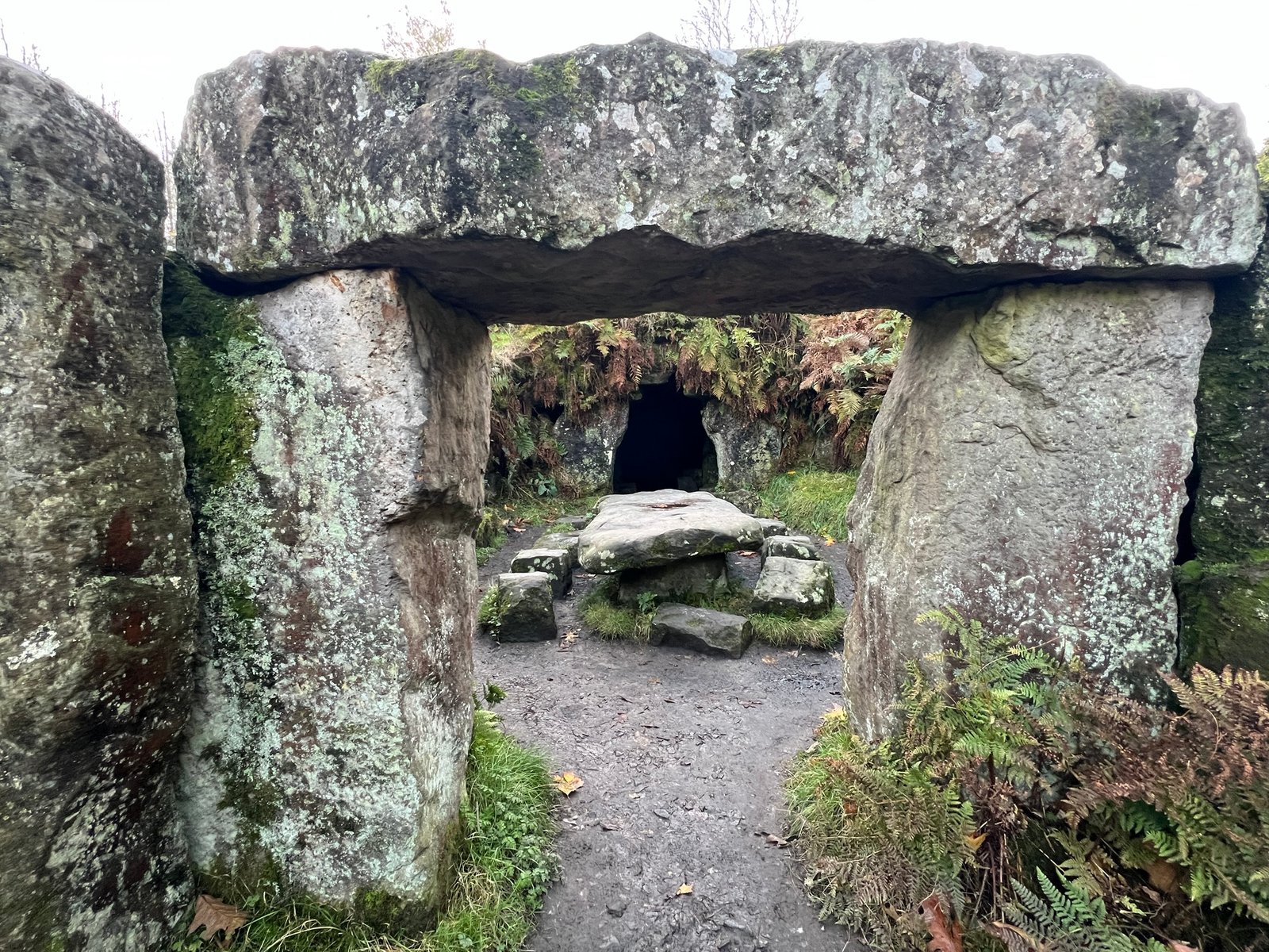 How to get to Druid's Temple - Lellalee