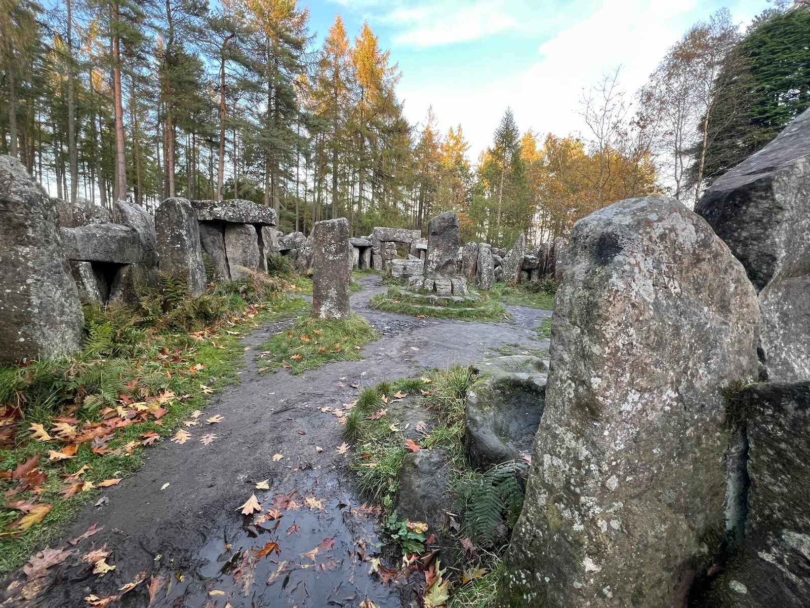 How to get to Druid's Temple - Lellalee