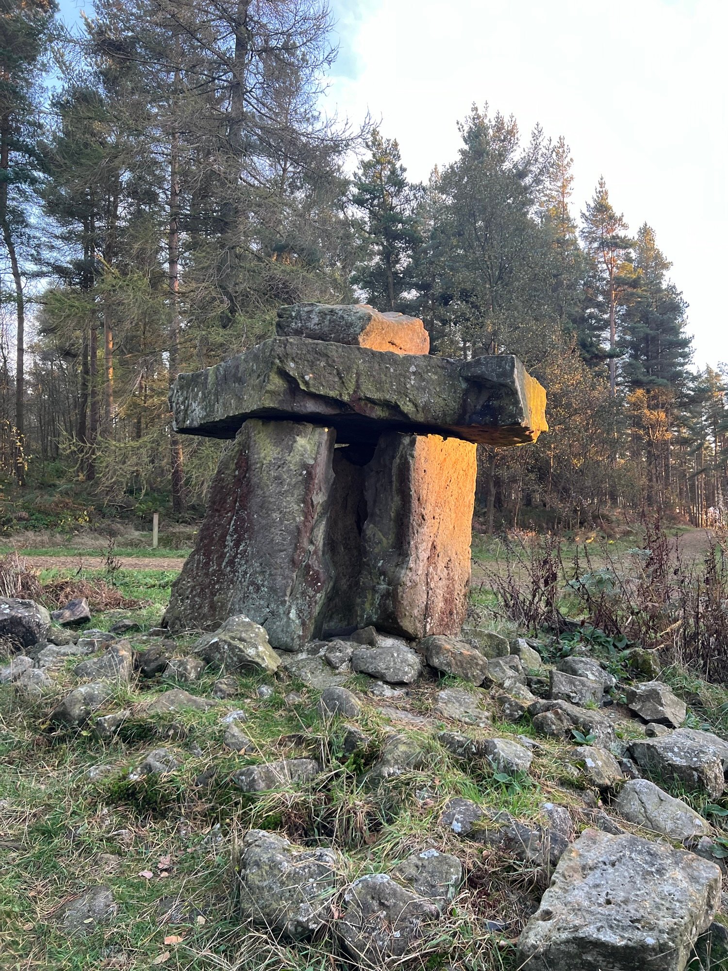 How to get to Druid's Temple - Lellalee