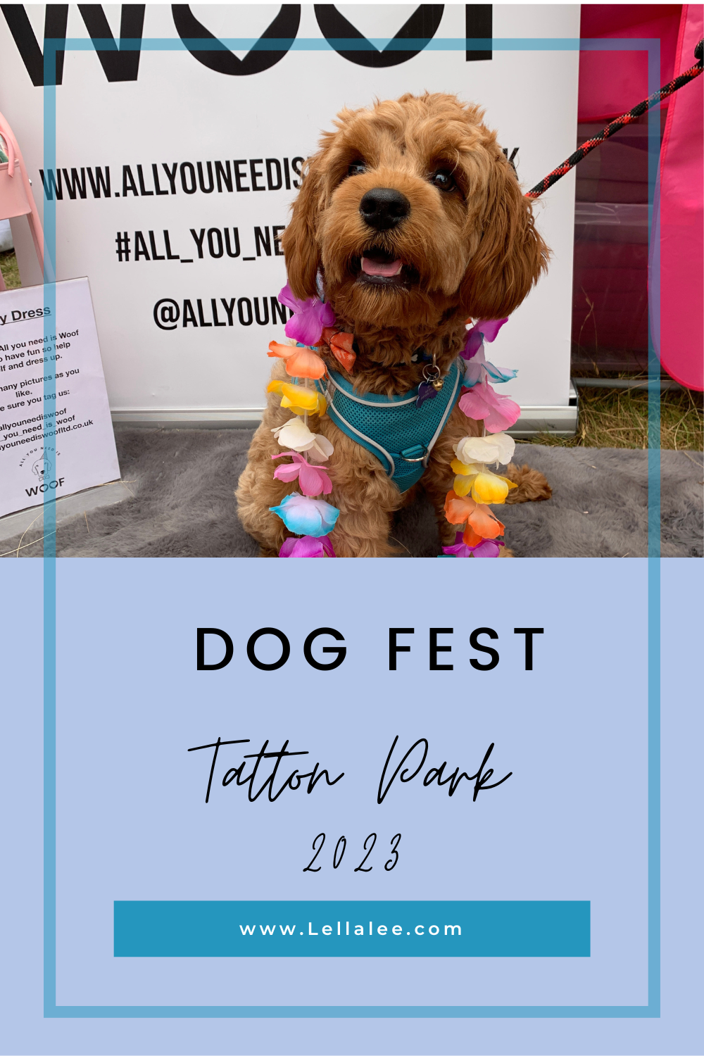 Dog Fest 2023- Tatton Park - Lellalee