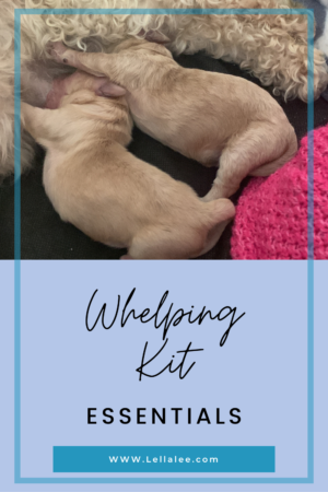Whelping Kit Essentials - Lellalee