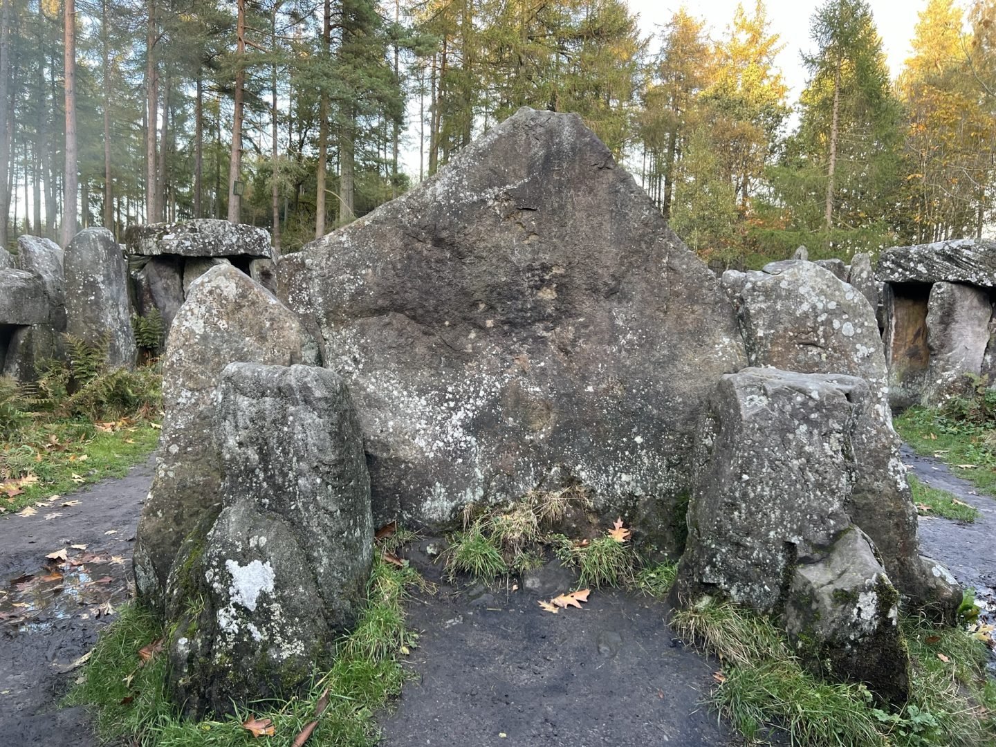 How to get to Druid's Temple - Lellalee