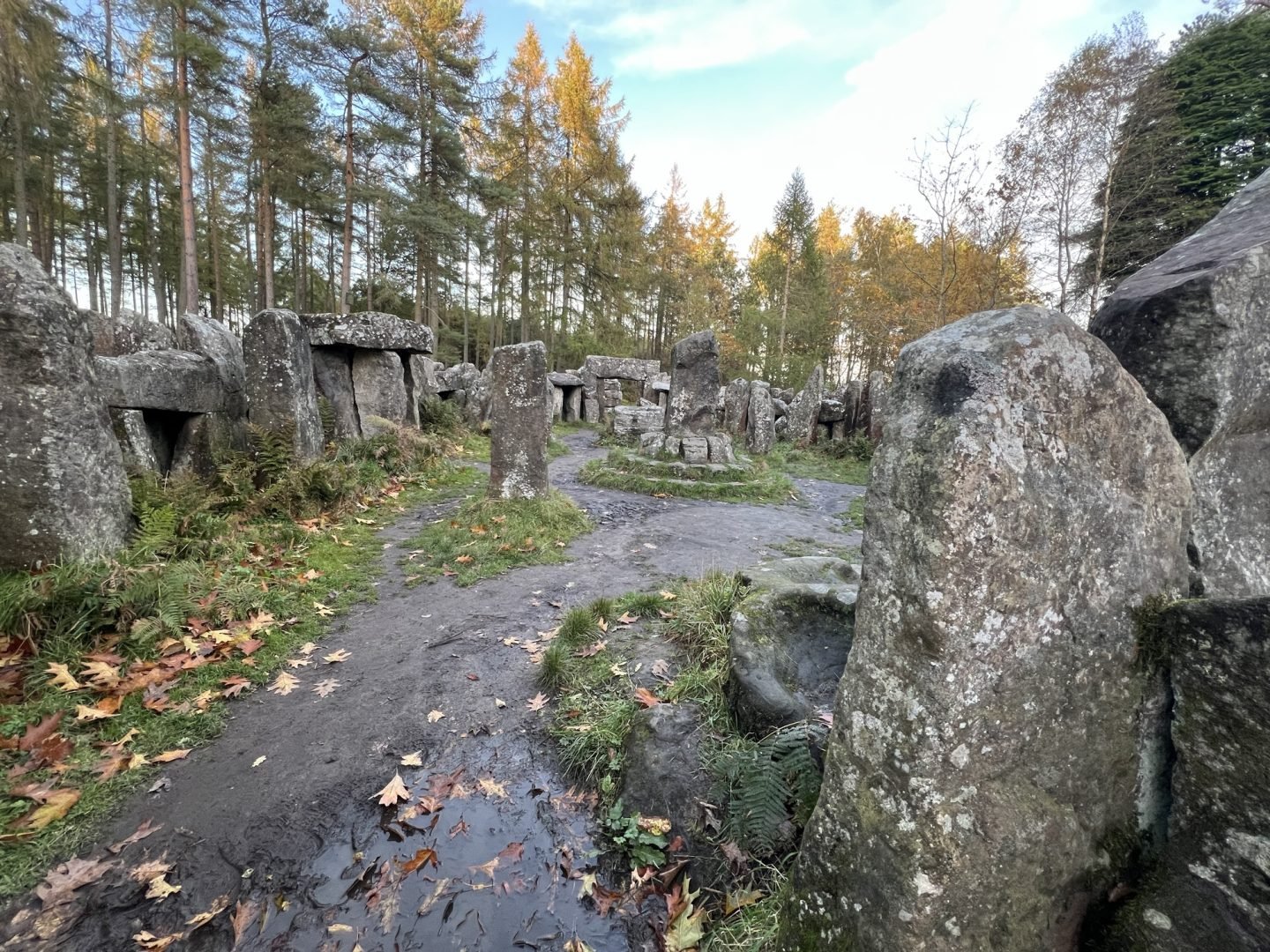 How to get to Druid's Temple - Lellalee