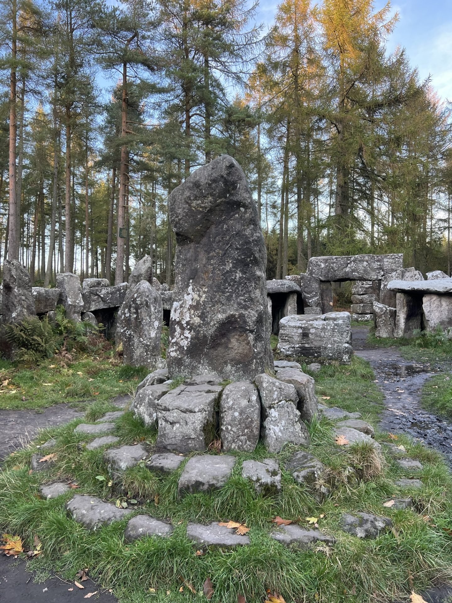 How to get to Druid's Temple - Lellalee