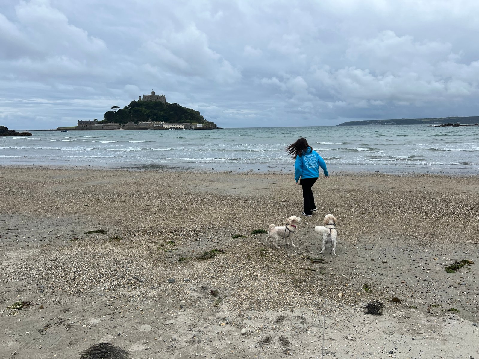 Enjoy St Michael's Mount With Dogs - Lellalee